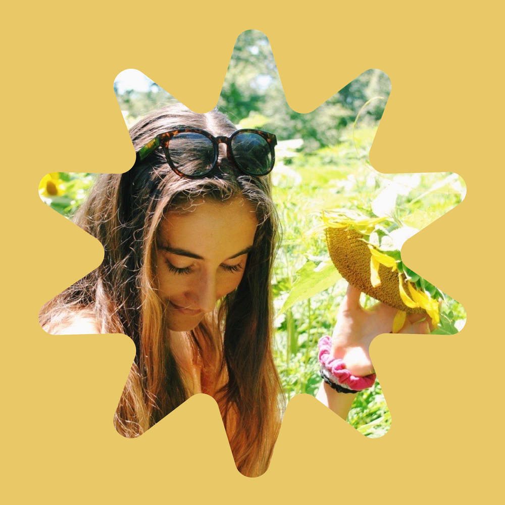 Chewing Gum Fast Facts and FAQs – Chomp Gums